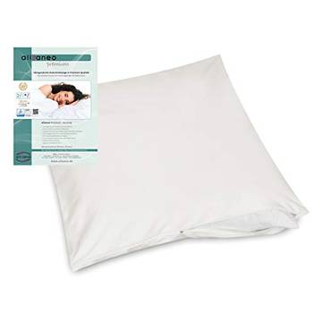 Encasing Test & Vergleich » Top 17 im November 2024