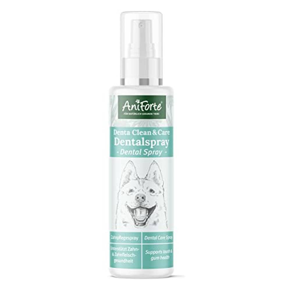 Dentalspray Hund Test & Vergleich » Top 24 im September 2023