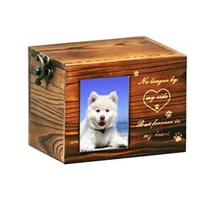 Urne Hund Test & Vergleich » Top 10 im Dezember 2022