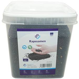 Rapssamen Test & Vergleich » Top 9 im Mai 2023