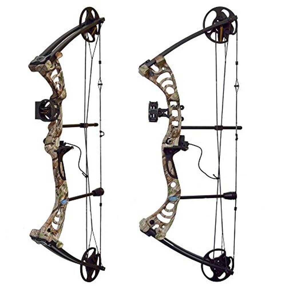 Compoundbogen Test & Vergleich: Top 10