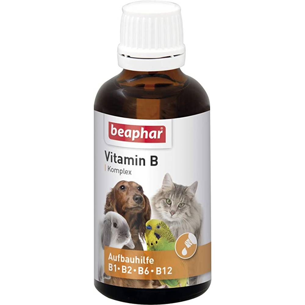 Hunde-Vitamine Test & Vergleich » Top 17 im Oktober 2025