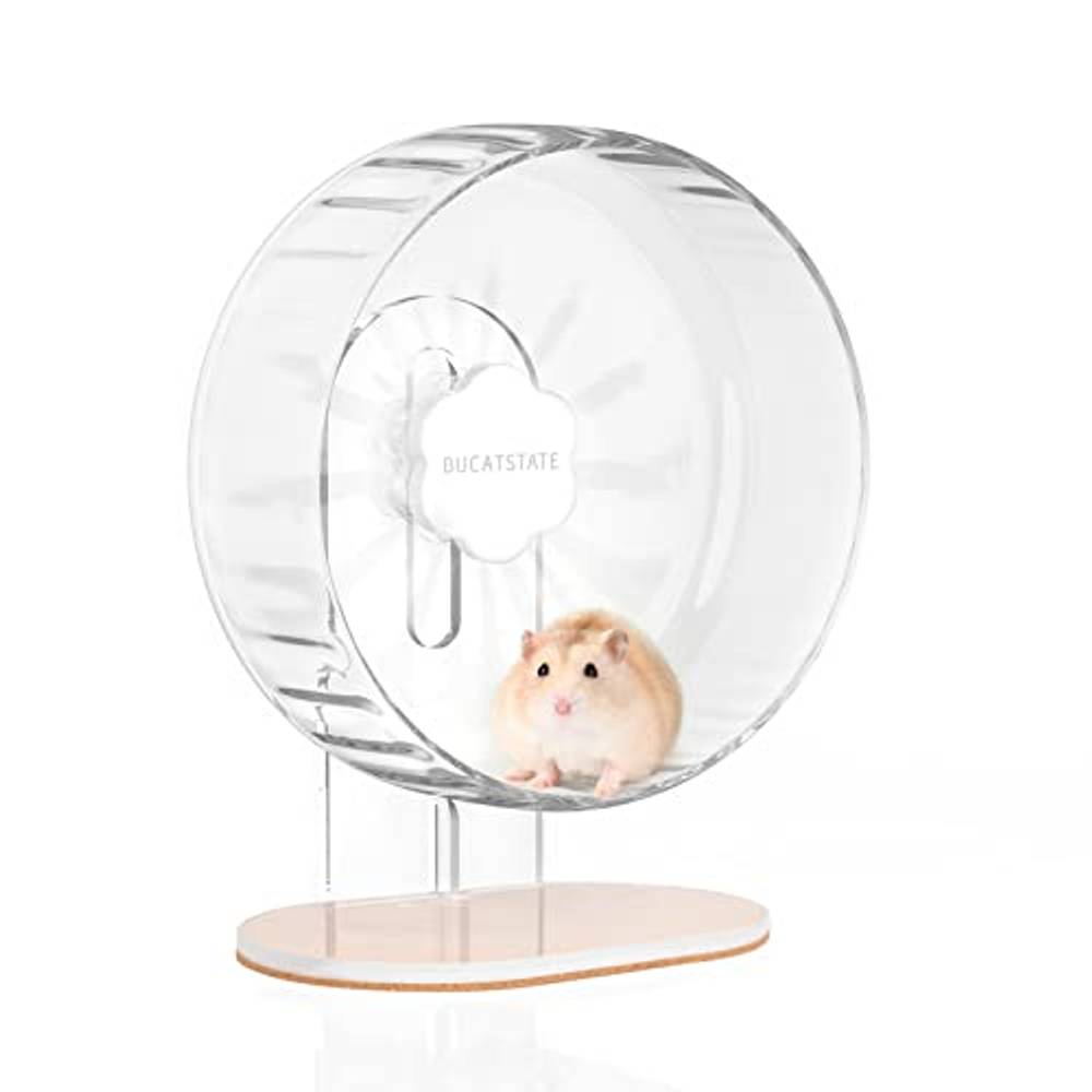 Hamsterrad Test & Vergleich » Top 10 im Juni 2026
