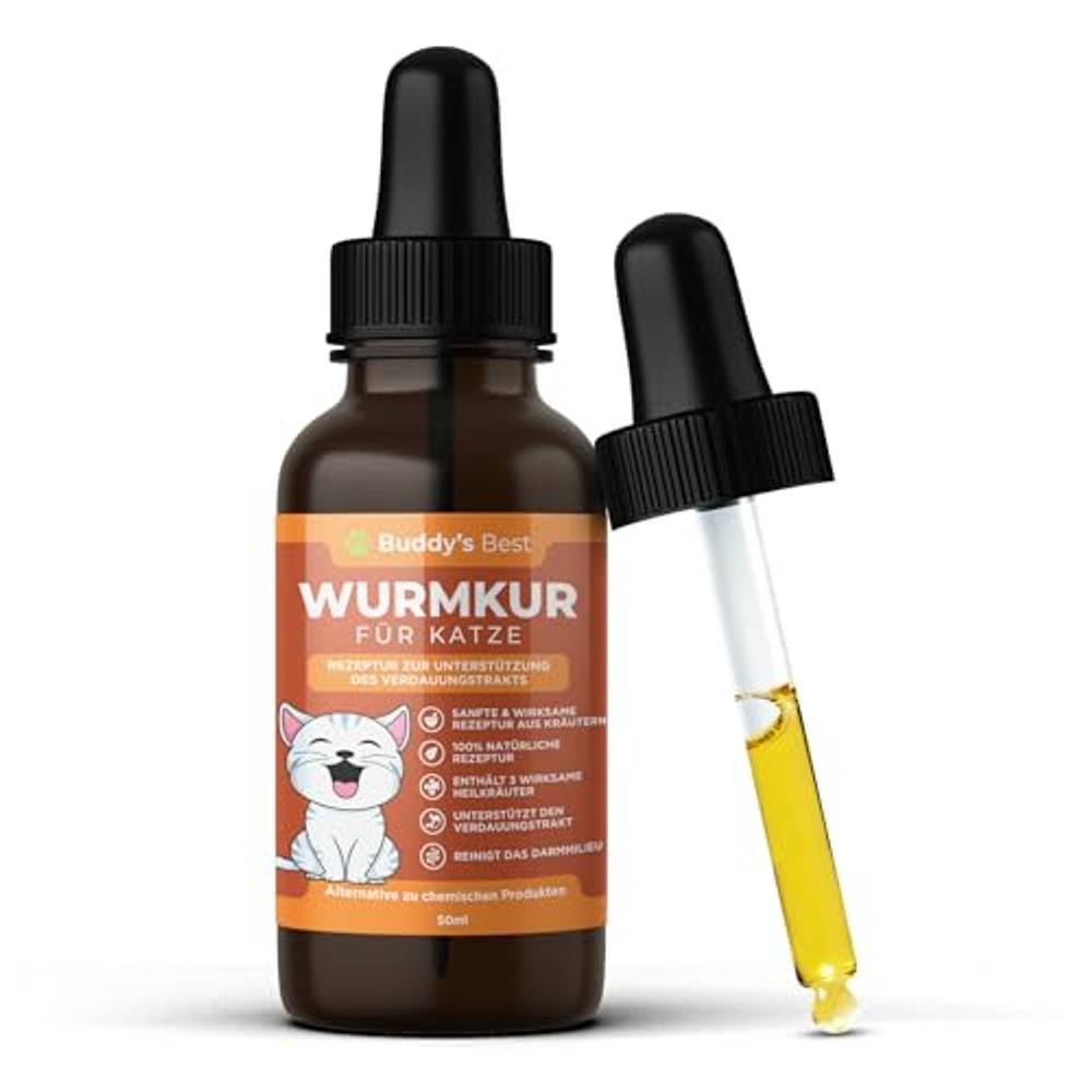 Wurmkur Katze: Top 10 Test & Vergleich