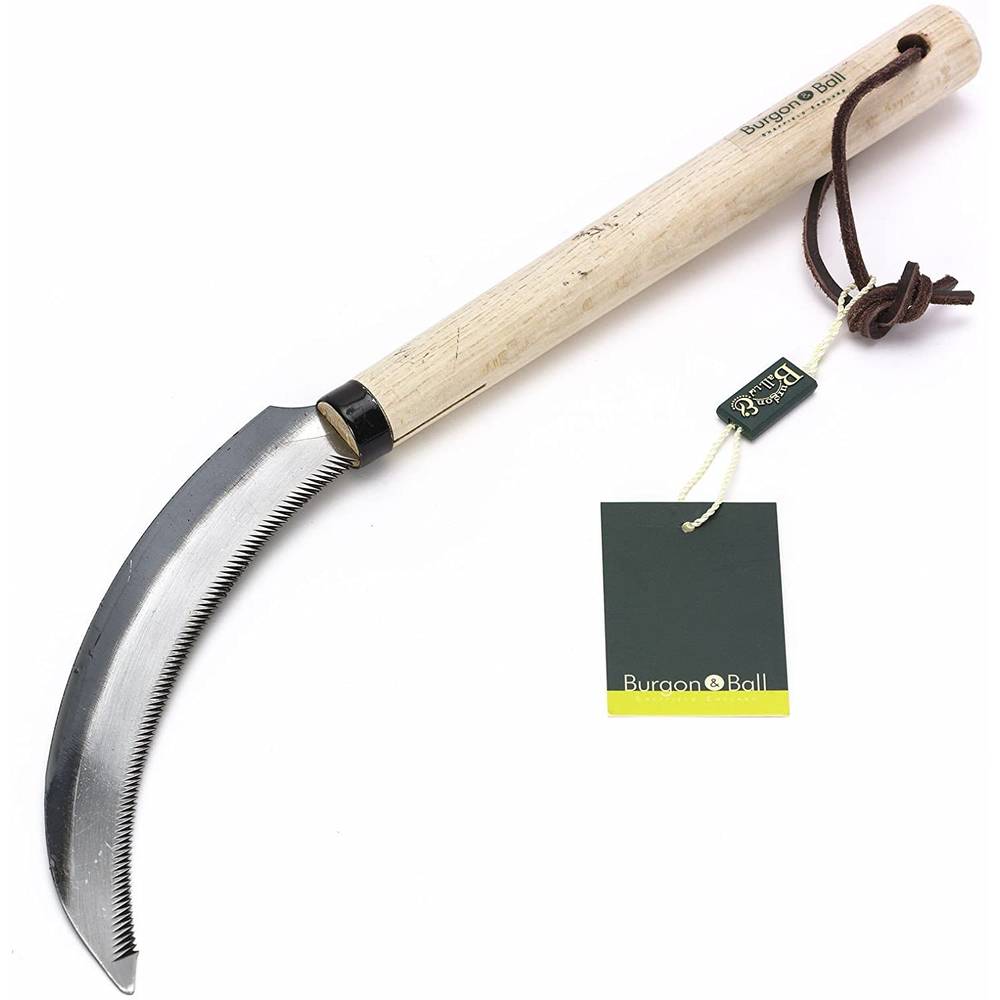 Sichel Test & Vergleich » Top 22 im April 2025