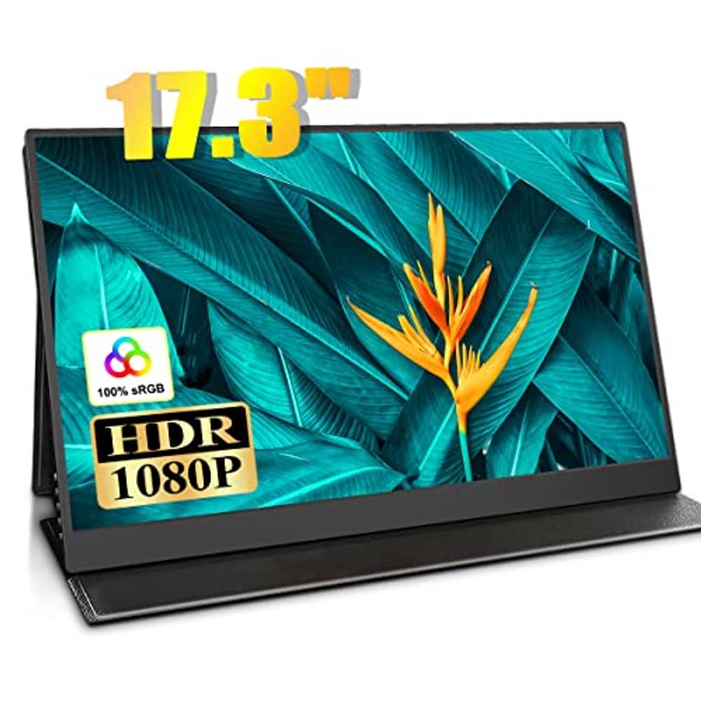 Top 10 Portable-Monitore 17 Zoll Test & Vergleich