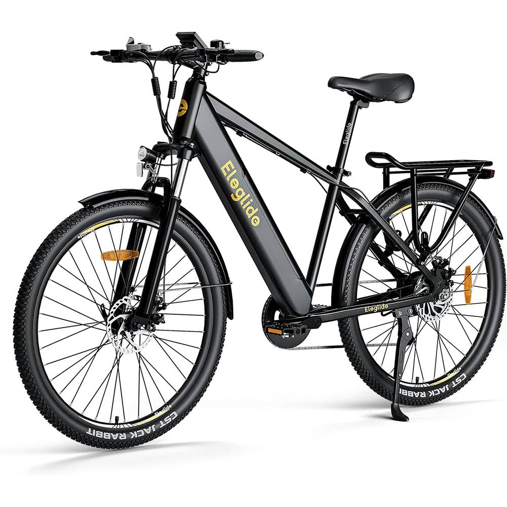 E Bike Herren Test