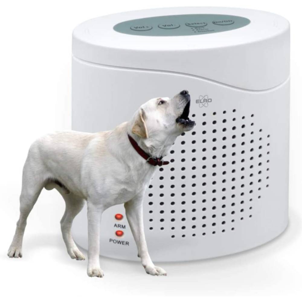 Elektronischer Wachhund Testsieger