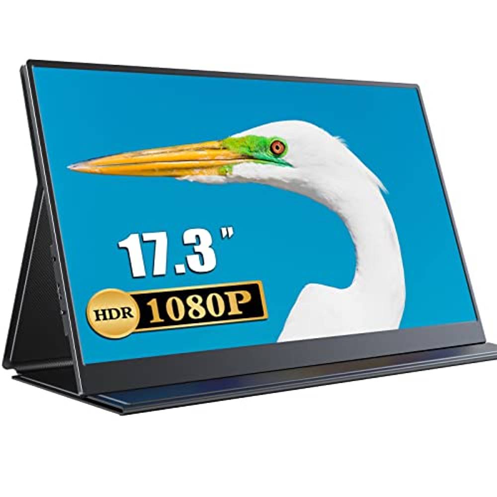 Top 10 Portable-Monitore 17 Zoll Test & Vergleich