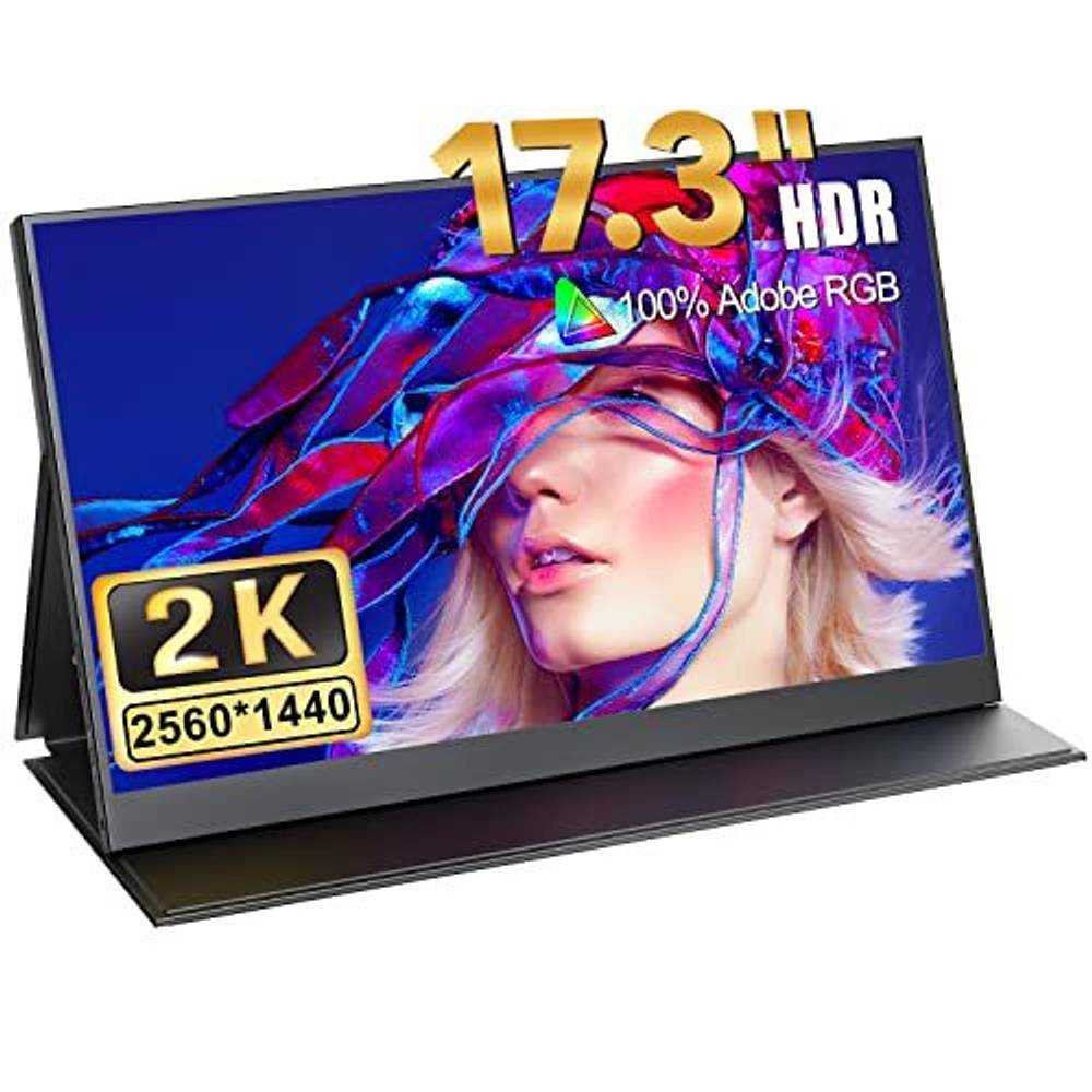 Top 10 Portable-Monitore 17 Zoll Test & Vergleich