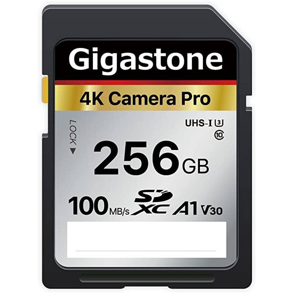Top 10 Speicherkarten 256 GB Test & Vergleich