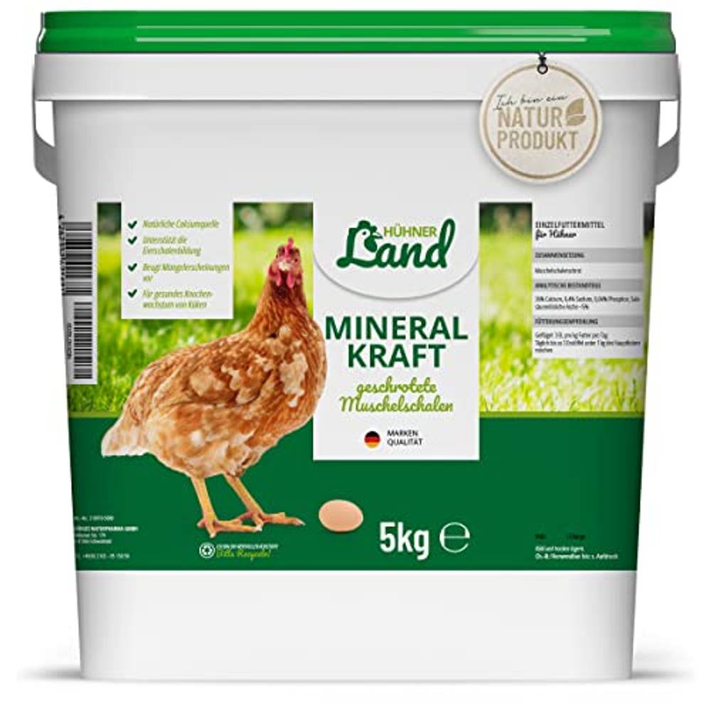 Muschelgrit Test & Vergleich » Top 10 im Januar 2026