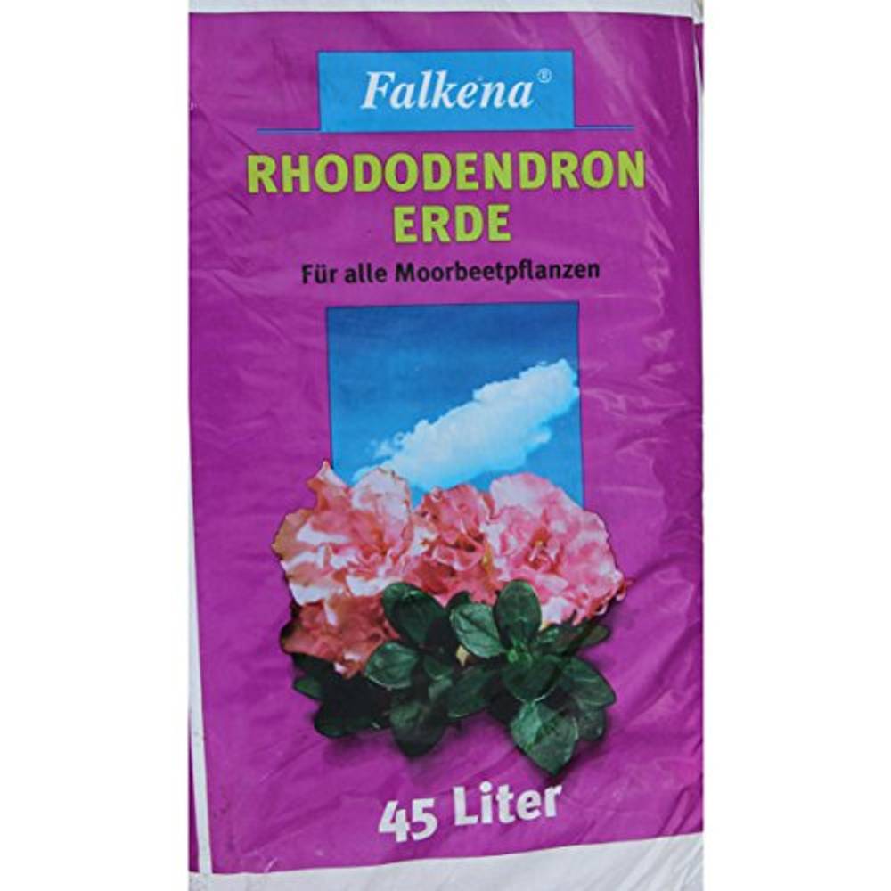 Elegantes Rhododendronerde Für Himbeeren Fotos