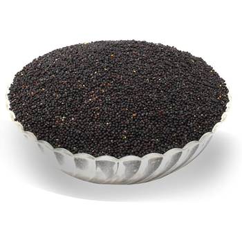 Rapssamen Test & Vergleich » Top 12 im November 2024