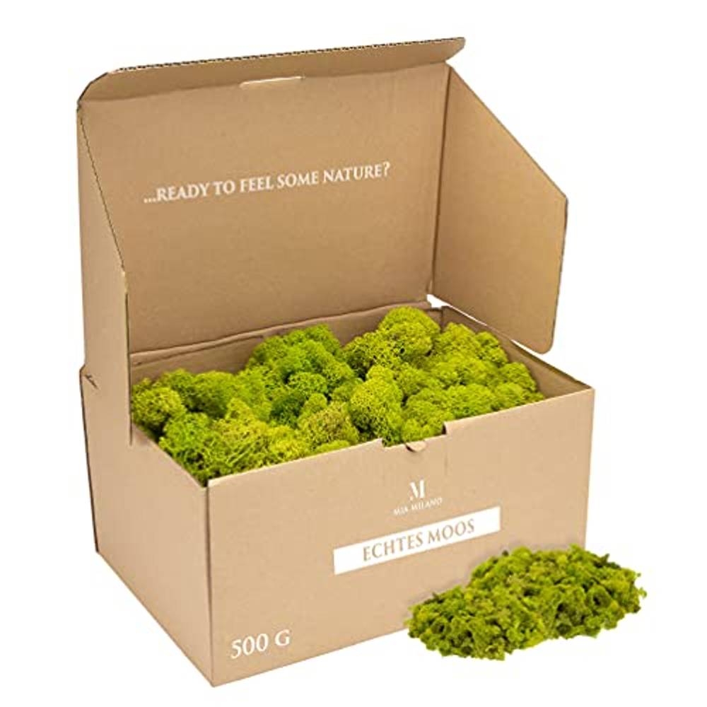 Moos Test & Vergleich » Top 15 im September 2024