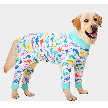 OP-Body Hund Test & Vergleich » Top 15 im November 2024