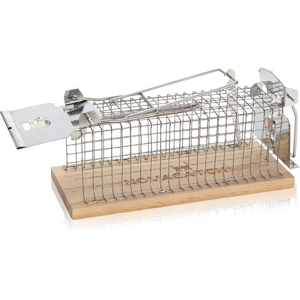 Mausefallen Test & Vergleich Top 10