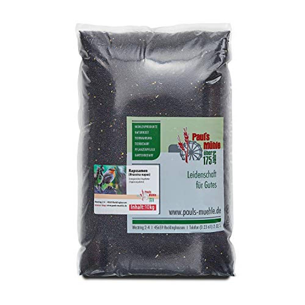 Rapssamen Test & Vergleich » Top 9 im Dezember 2025