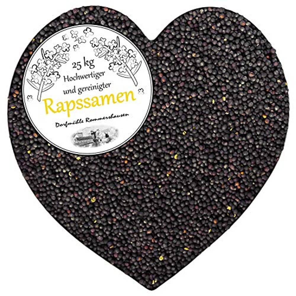 Rapssamen Test & Vergleich » Top 8 im Januar 2024