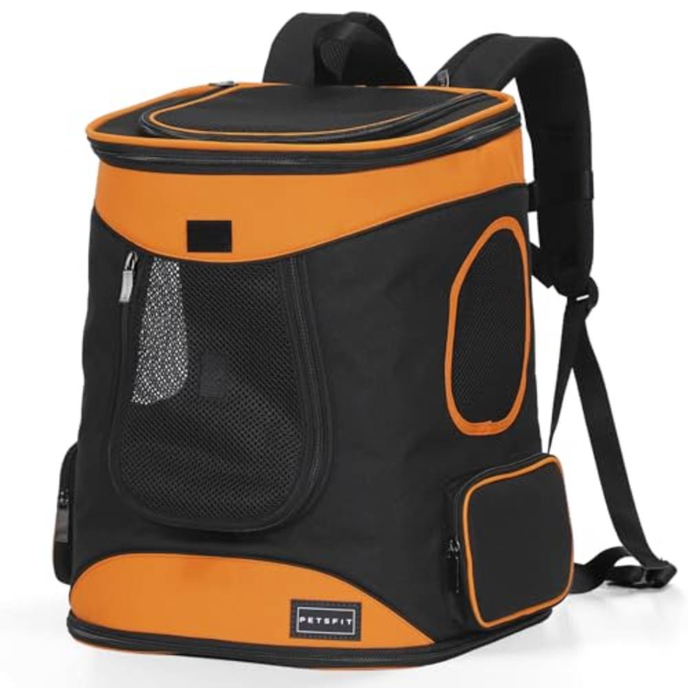 Katzenrucksack Test & Vergleich » Top 15 im April 2026