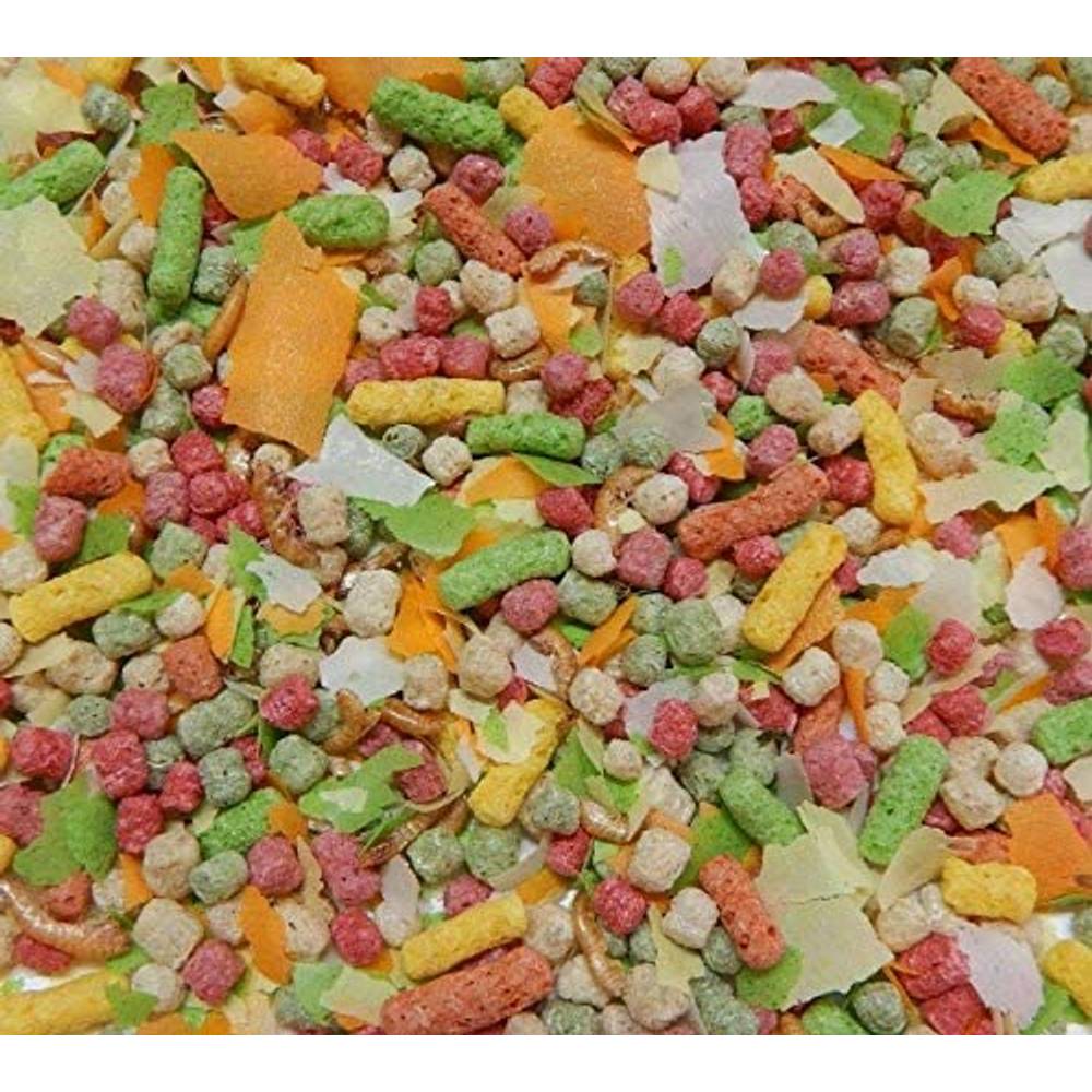 Fischfutter Test & Vergleich Top 10