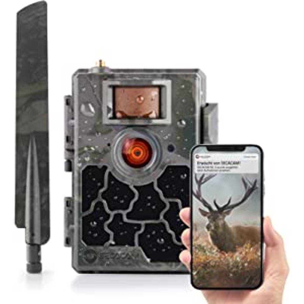 Wildkamera mit SIM-Karte: Top 10 Test & Vergleich