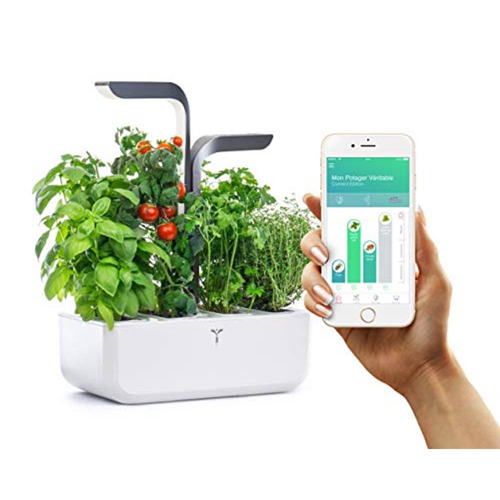 Smart Garden Vergleich & Test » Top 10 im Juni 2026