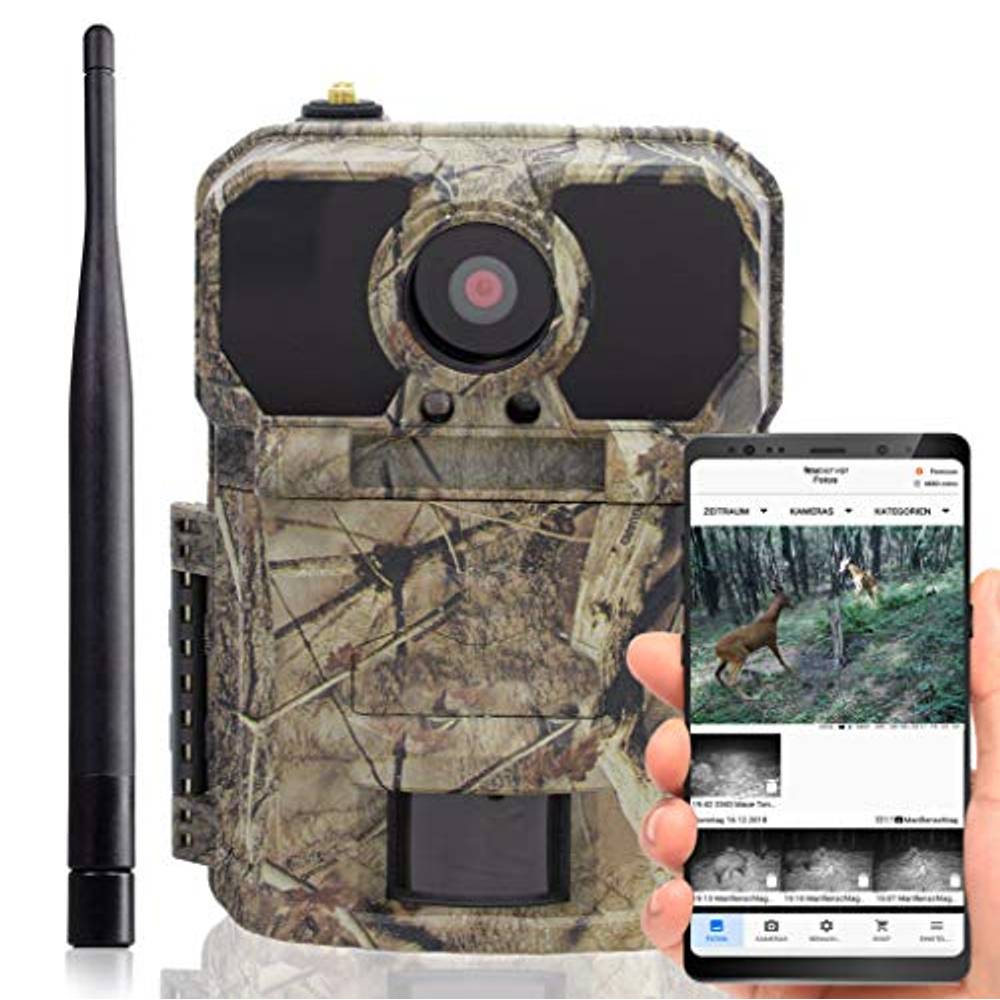 Wildkamera mit SIM-Karte: Top 10 Test & Vergleich