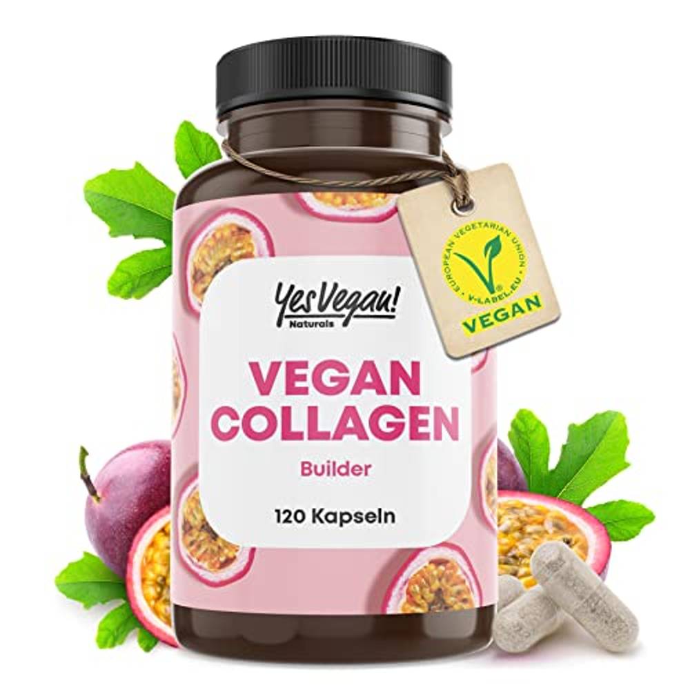 Kollagen vegan Test & Vergleich » Top 12 im August 2025