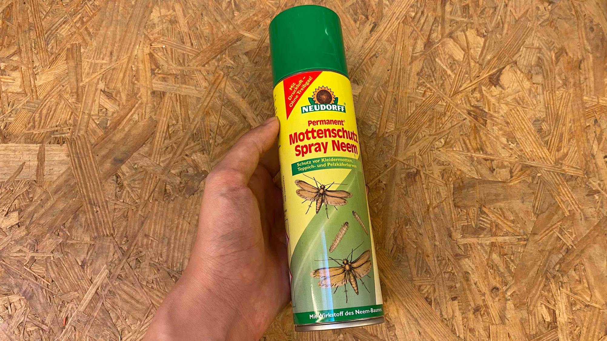 Mottenspray Test & Vergleich » Top 12 im Januar 2026