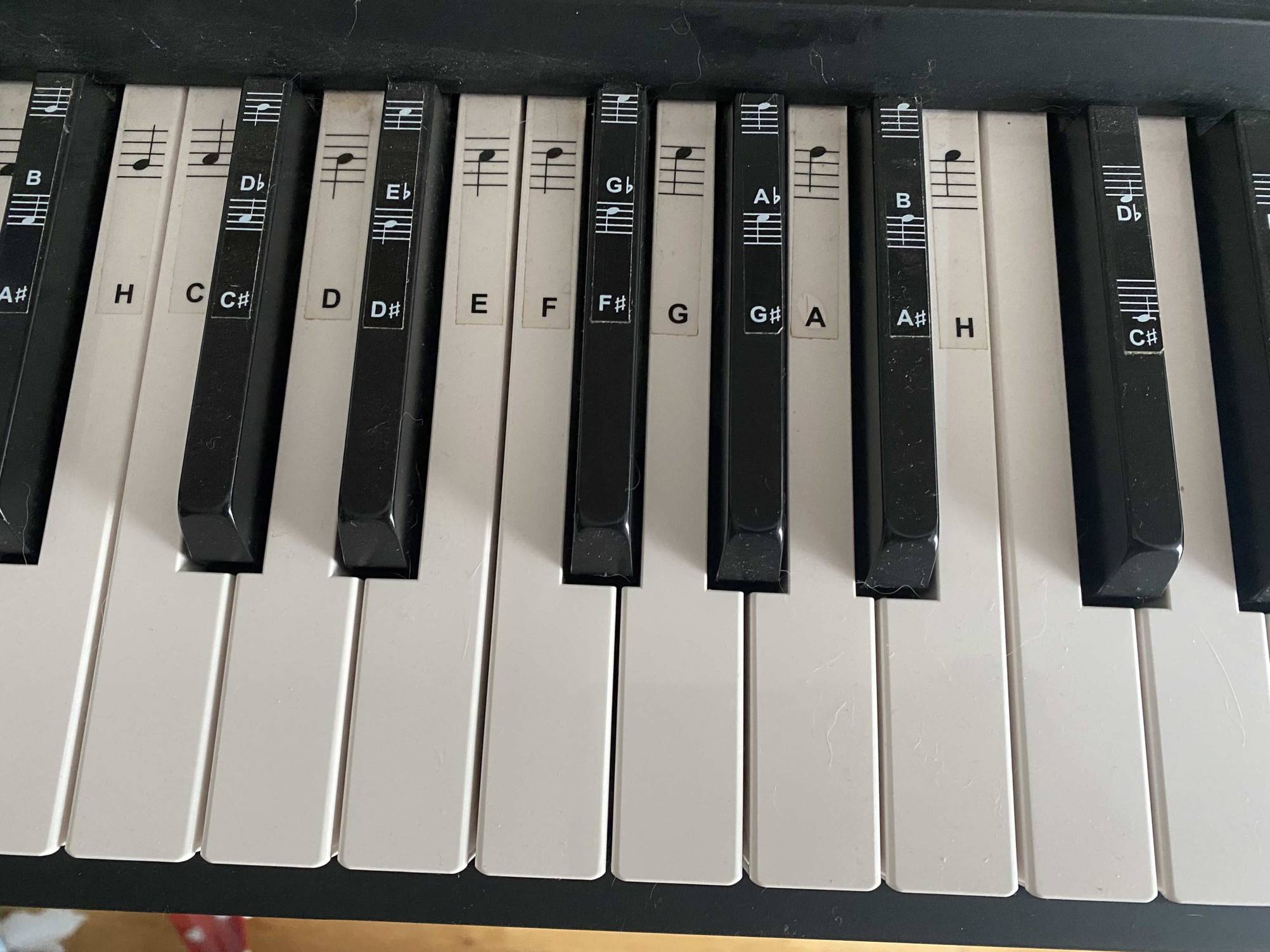 Yamaha-Keyboard Test & Vergleich: Top 10