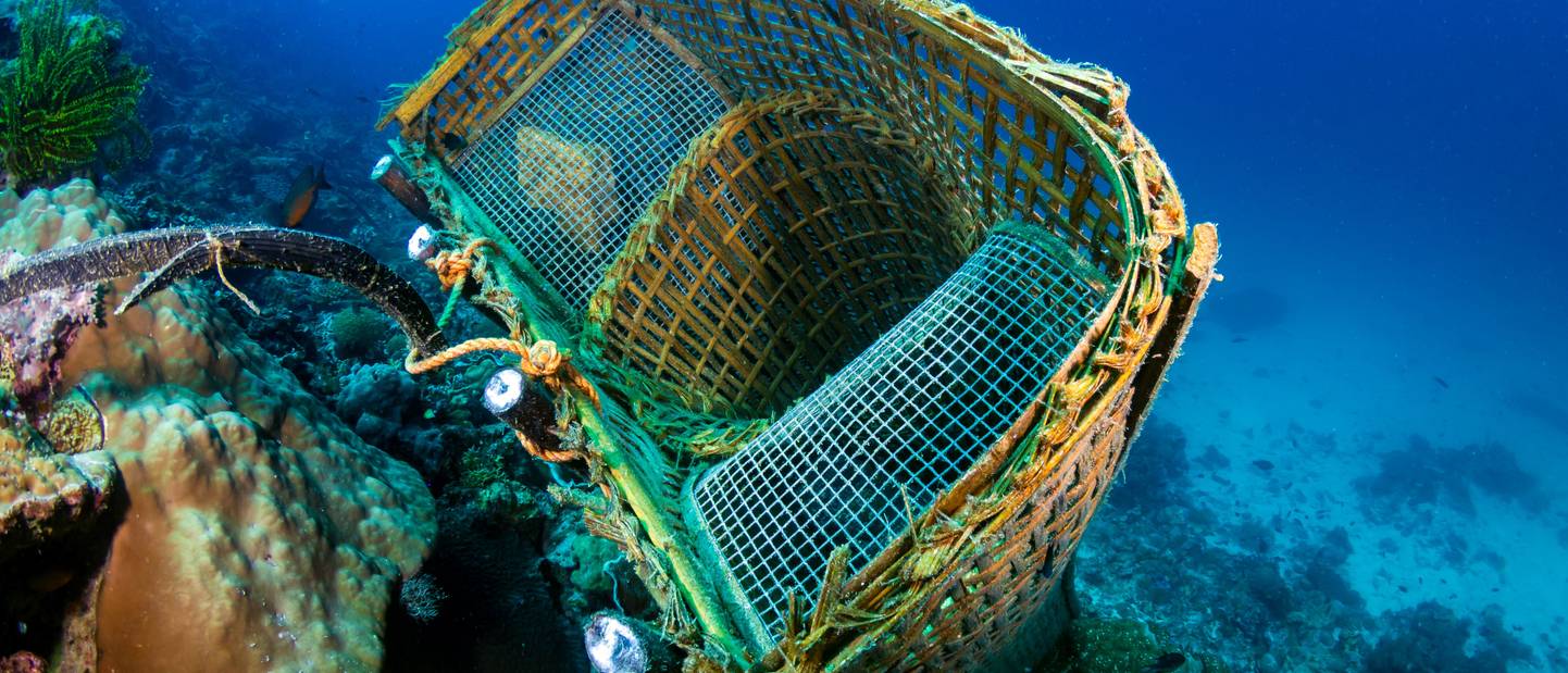 Aal-Reuse Test & Vergleich » Top 10 im Dezember 2025