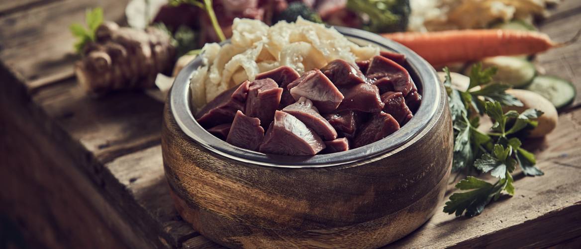 BARF-Hundefutter Test & Vergleich » Top 16 im März 2025