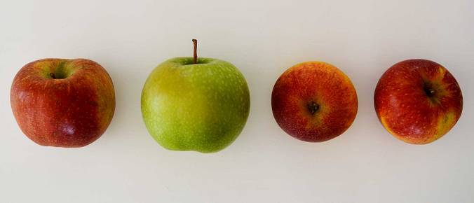 Äpfel richtig lagern – 5 Grundregeln beachten - vergleich.org