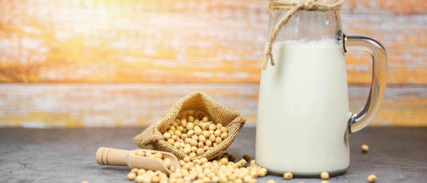Alpro-Sojamilch Test & Vergleich » Top 11 im April 2026