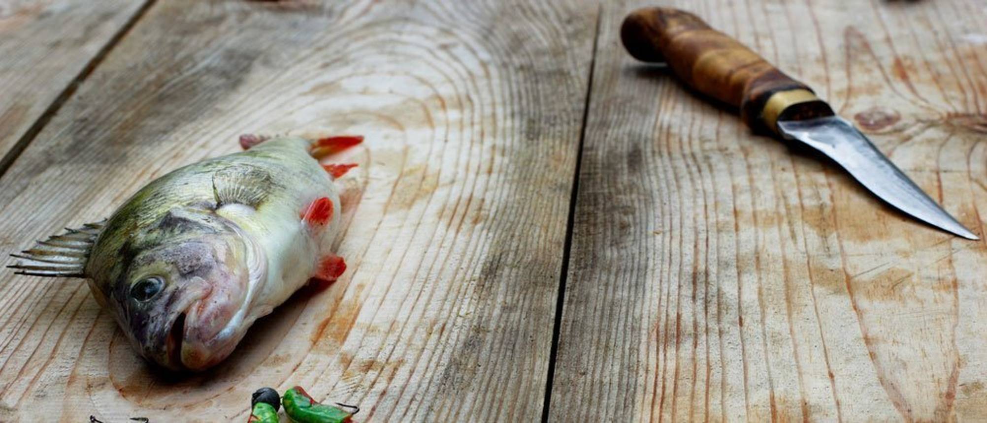 Angelmesser Test & Vergleich » Top 15 im Dezember 2025