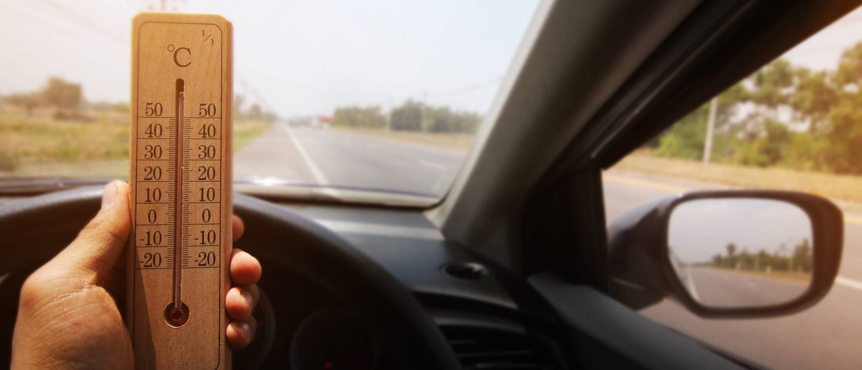 Auto-Thermometer Test & Vergleich » Top 15 im Januar 2026