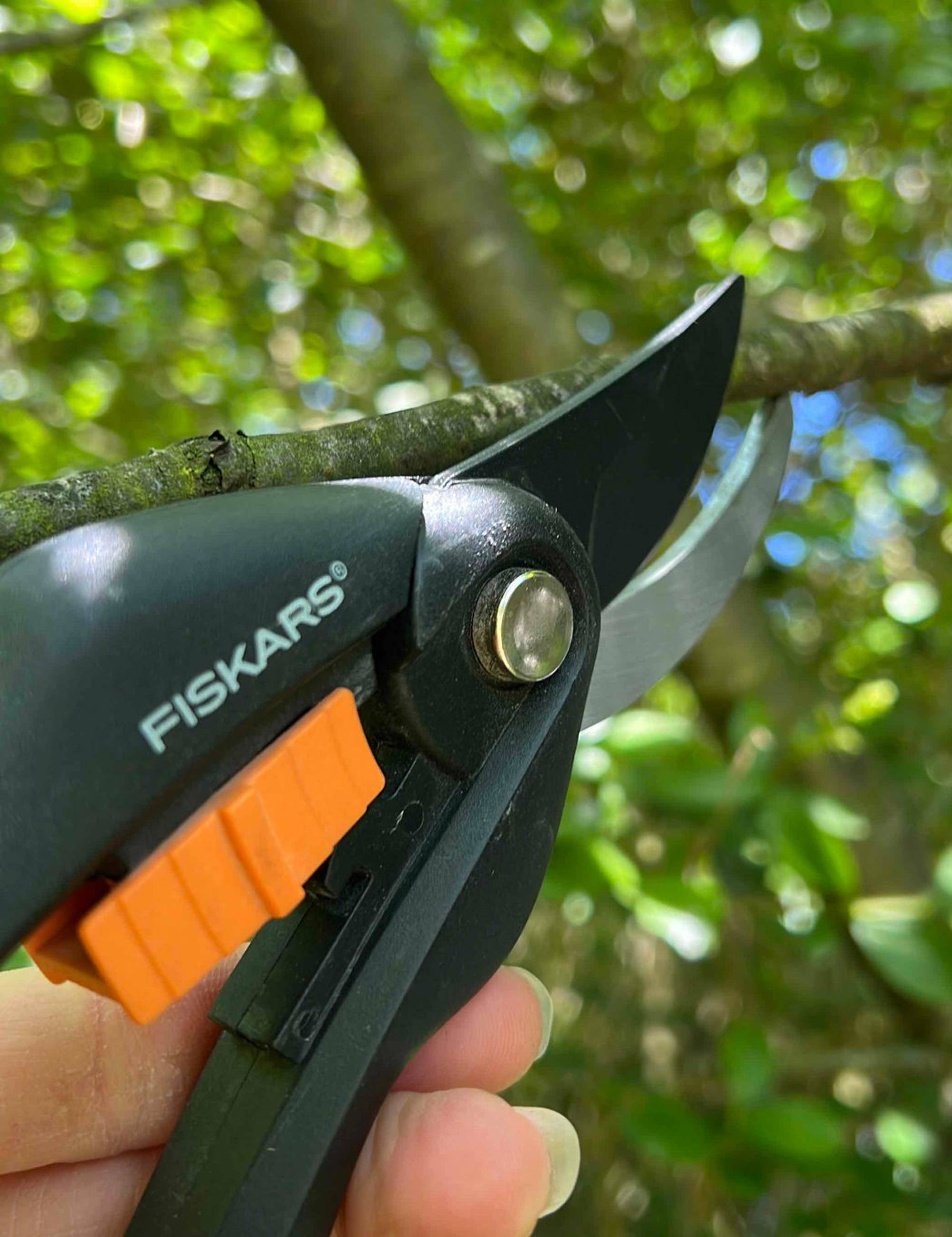Fiskars-Astschere Test & Vergleich » Top 13 im Januar 2025