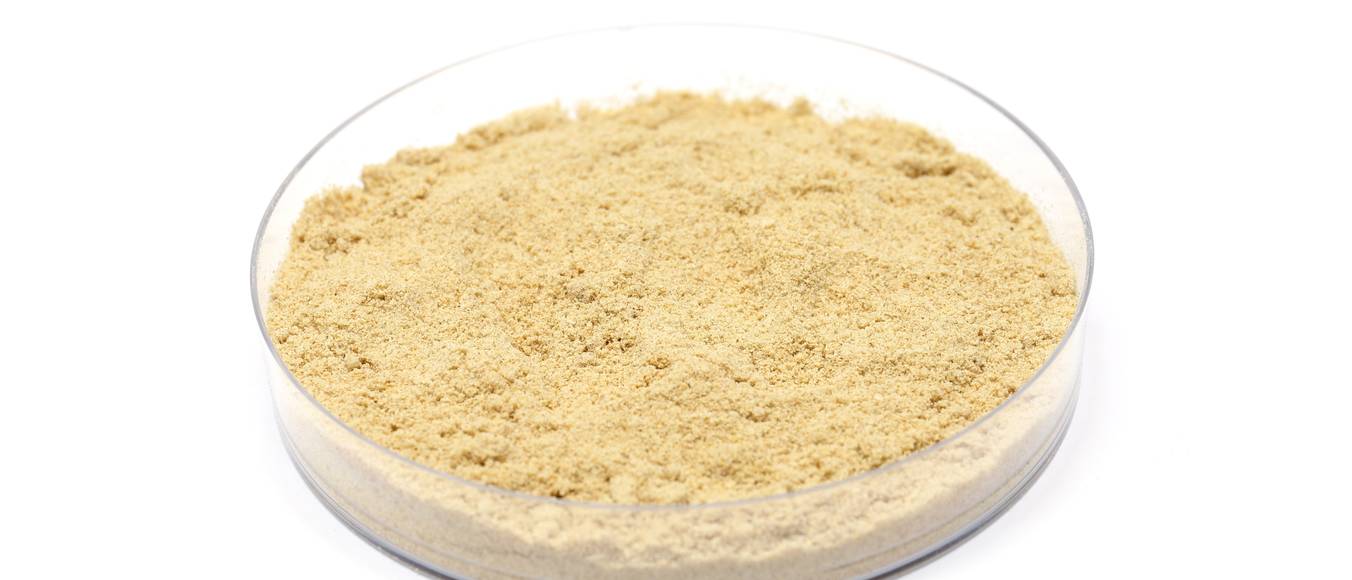 Backmalz Test & Vergleich » Top 12 im Januar 2026