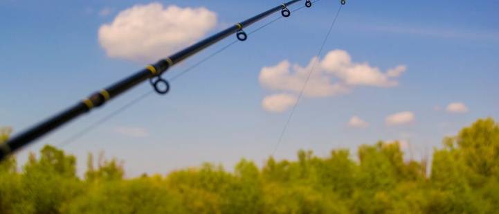 Balzer-Angelruten Test & Vergleich » Top 8 im Dezember 2025