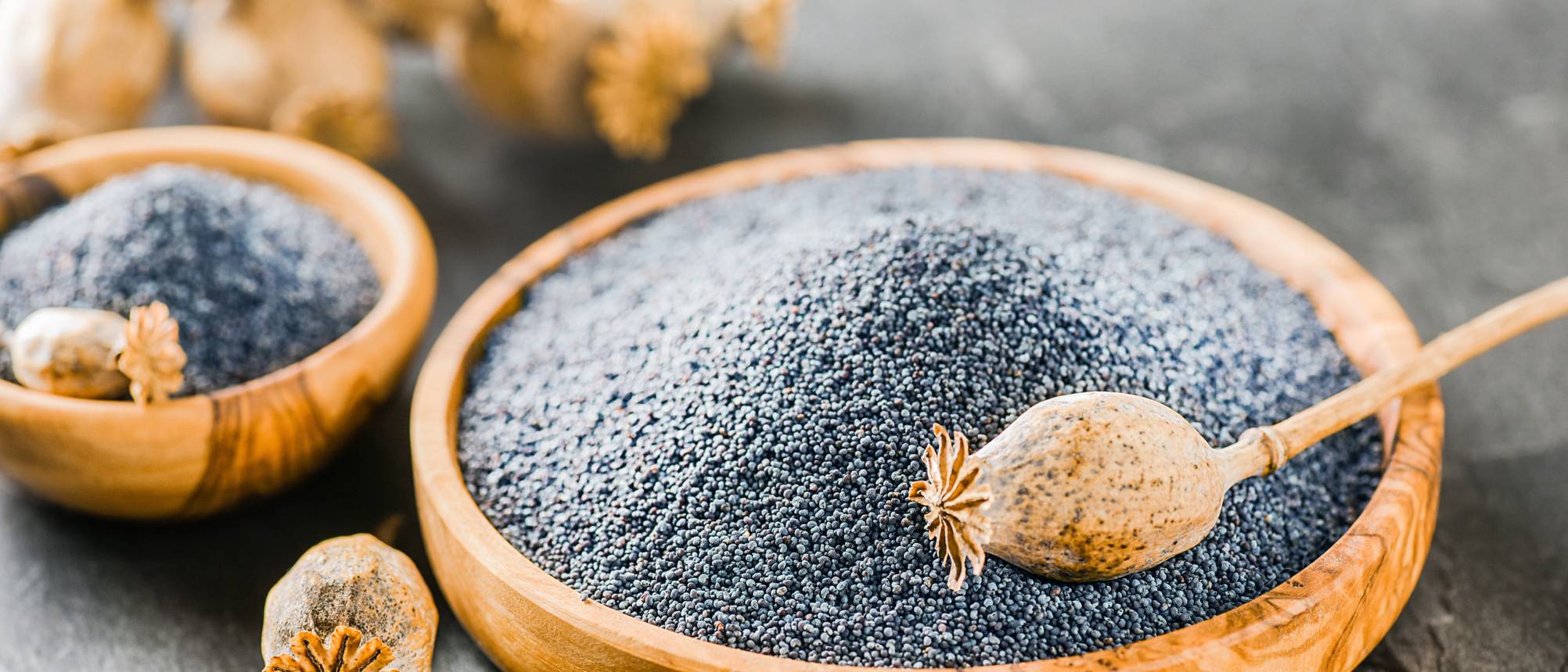 Blaumohn Test & Vergleich » Top 9 im Januar 2026