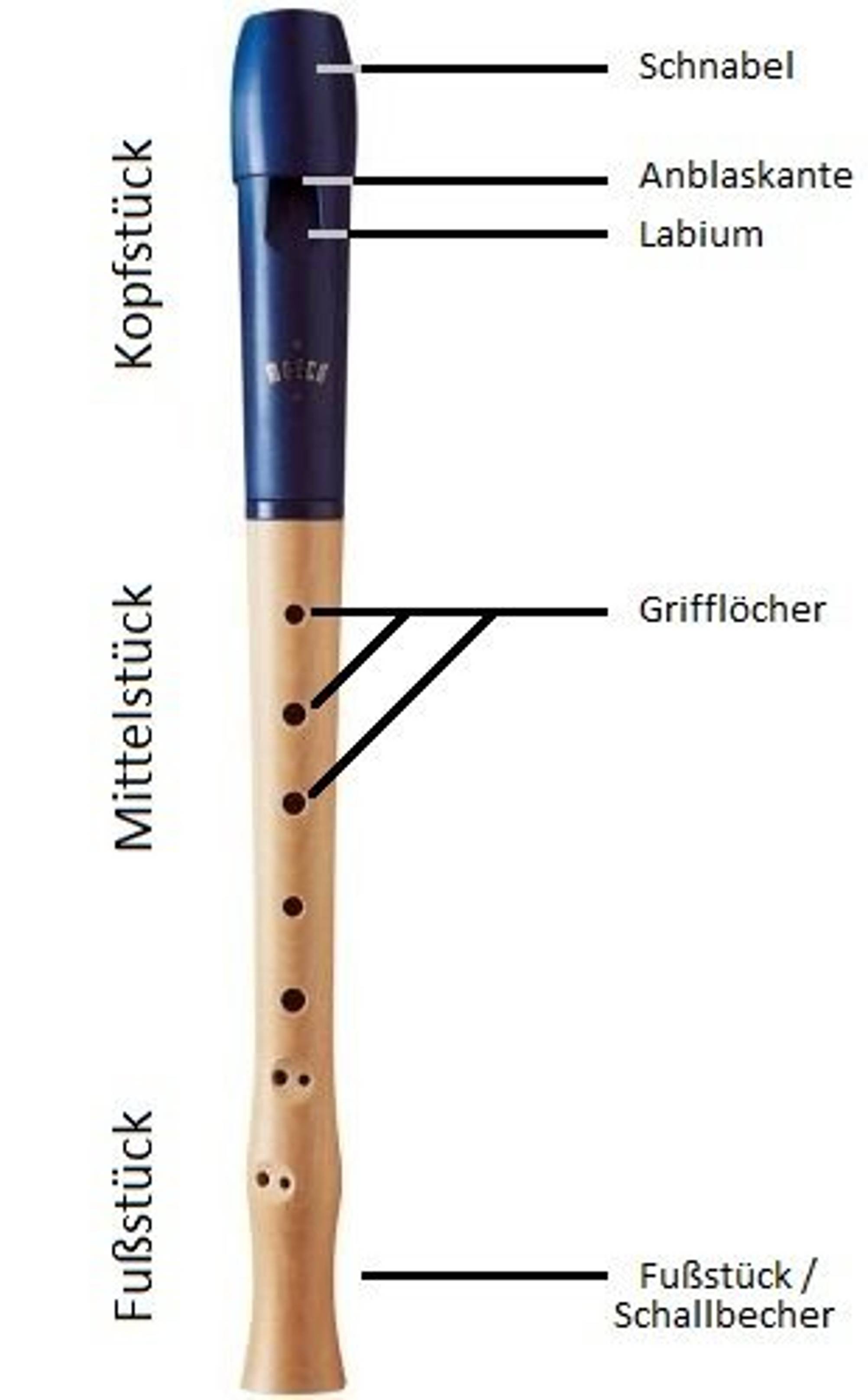 Blockflöte kaufen - Test & Vergleich » Top 21 im März 2023