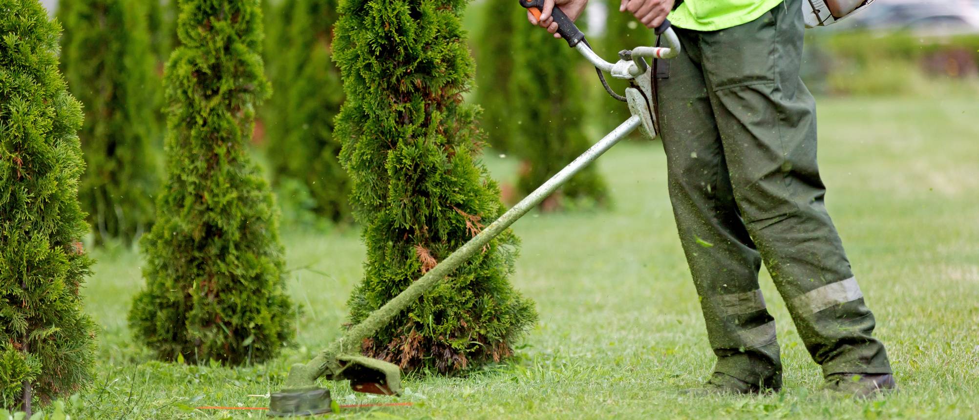 Bosch-Rasentrimmer Test & Vergleich » Top 12 im Dezember 2025