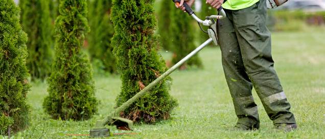 Bosch-Rasentrimmer Test & Vergleich » Top 12 im Dezember 2025