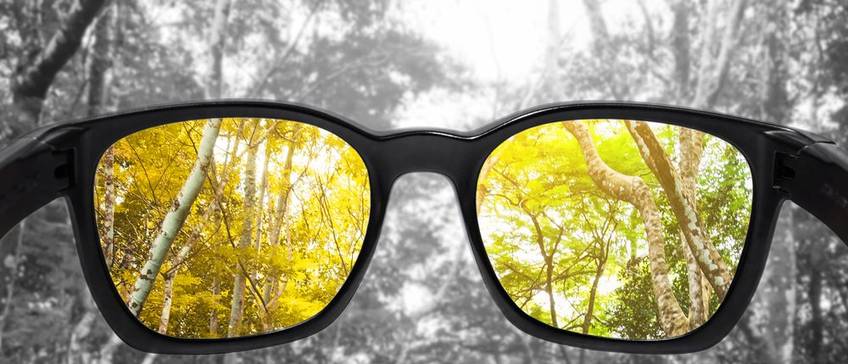 Top 10 Farbenblind-Brillen Test & Vergleich
