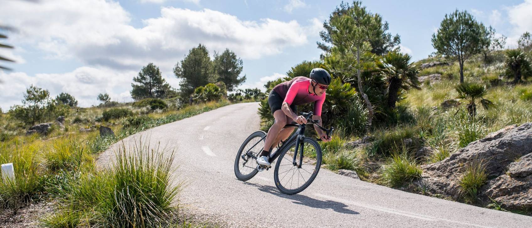 Carbon-Rennrad Test & Vergleich » Top 7 im Januar 2026