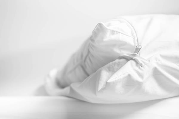 Encasing Test & Vergleich » Top 12 im Januar 2026