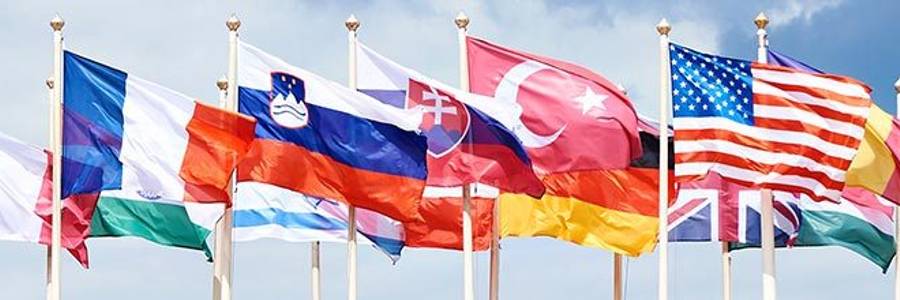 Fahnen: Alle Tests & Vergleiche im Überblick