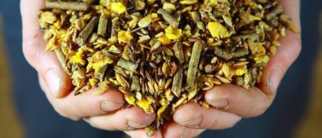 Fohlenfutter Test & Vergleich » Top 11 im Januar 2023