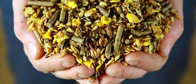 Fohlenfutter Test & Vergleich » Top 11 im Januar 2023